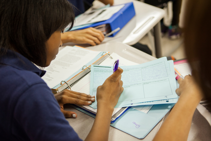 Professional Learning Module: Modeling the enactment of the Formative ...