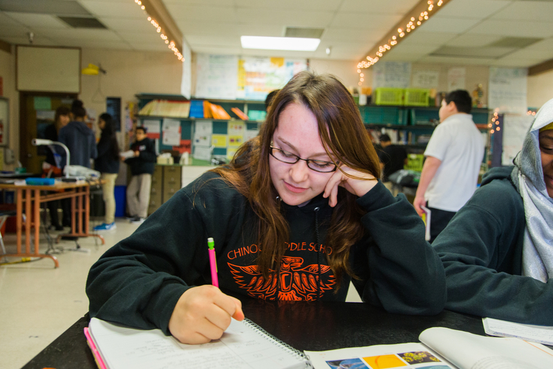 Professional Learning Module: Modeling the enactment of the Formative ...